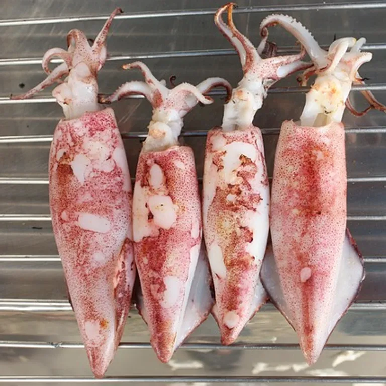 Smjesa za pohane lignje - recept i priprema smjese za pohane lignje ...