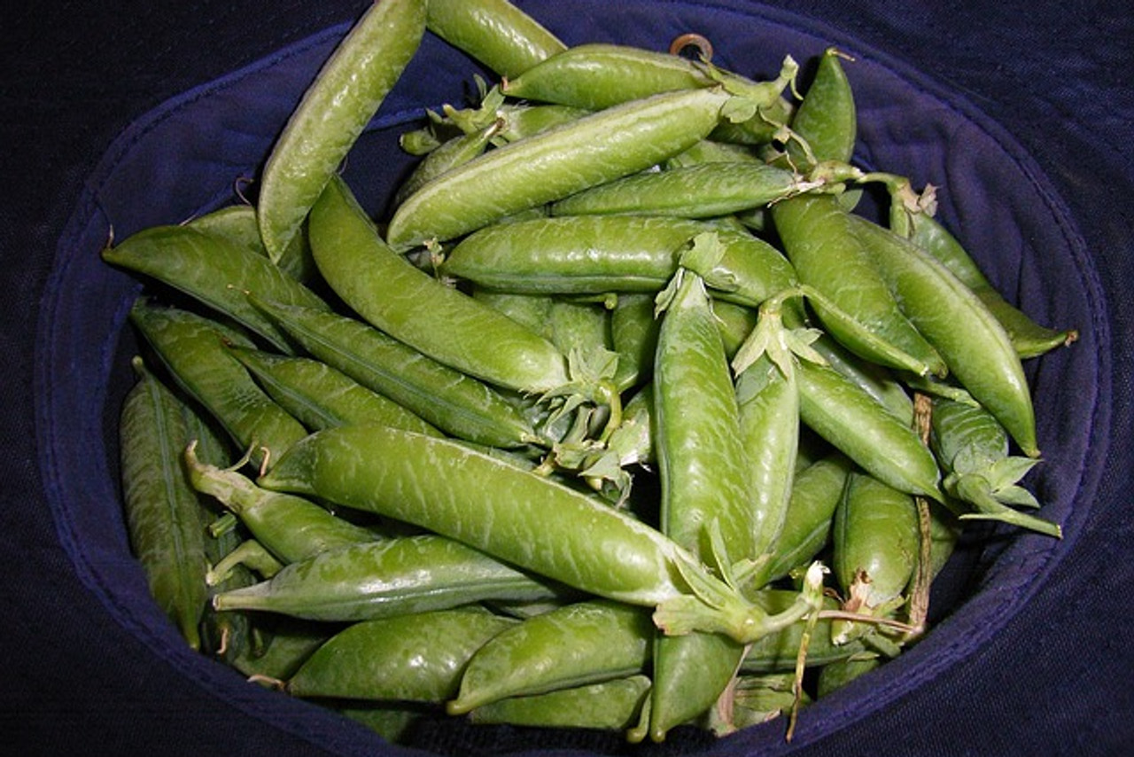 Smrznute mahune kao prilog - recept kako pripremiti smrznute mahune kao ...