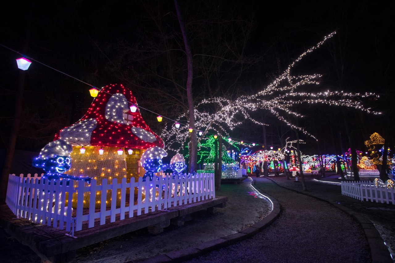 REKORDNI BROJ LAMPICA: Pogledajte kako ove godine izgleda imanje ...