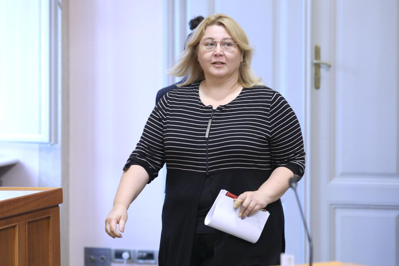 Posavec Krivec: 'Treba omogućiti da istospolni parovi mogu posvajati ...