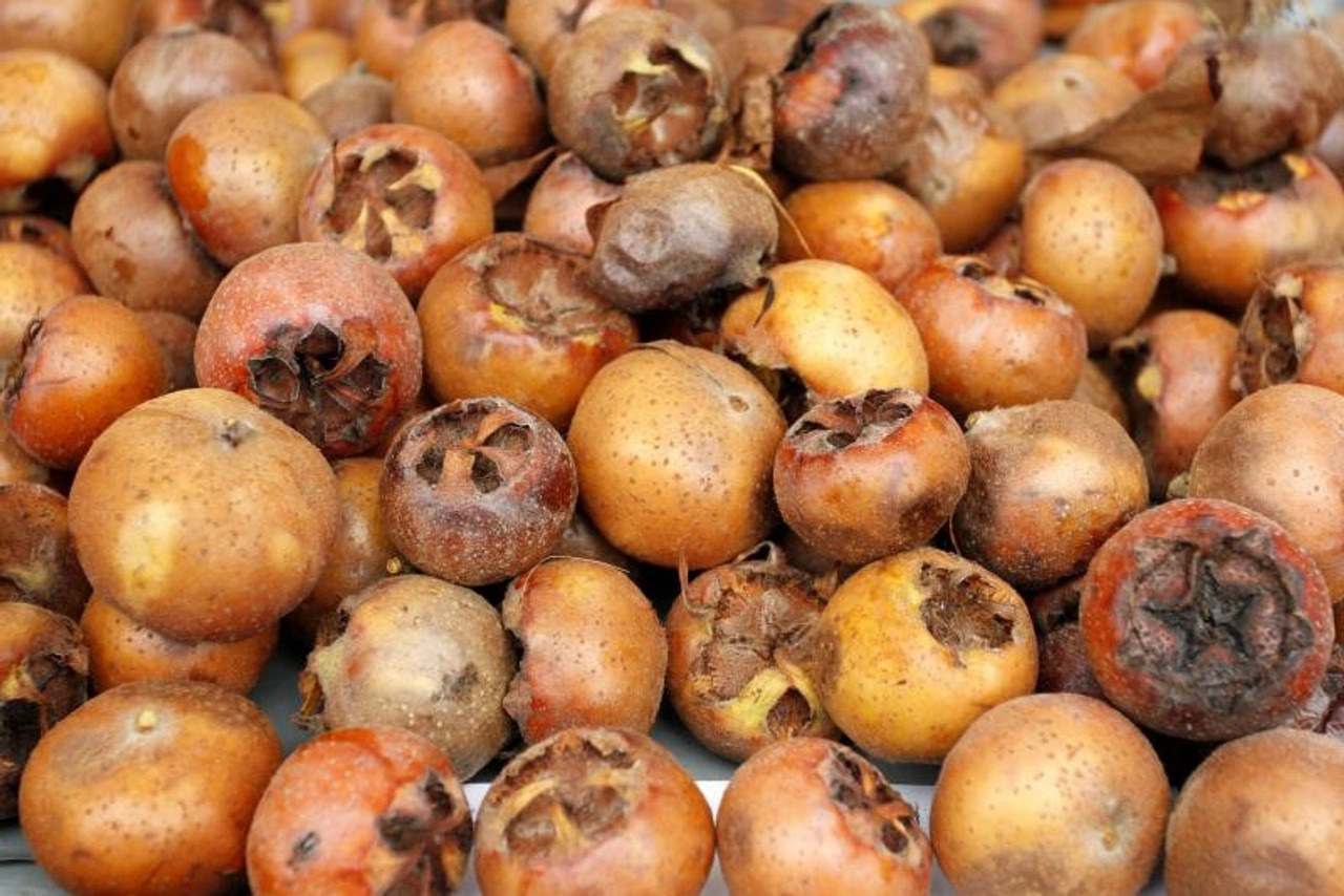 MUŠMULA KAO LIJEK: Recepti, priprema i uzgoj ovog izrazito zdravog i ...