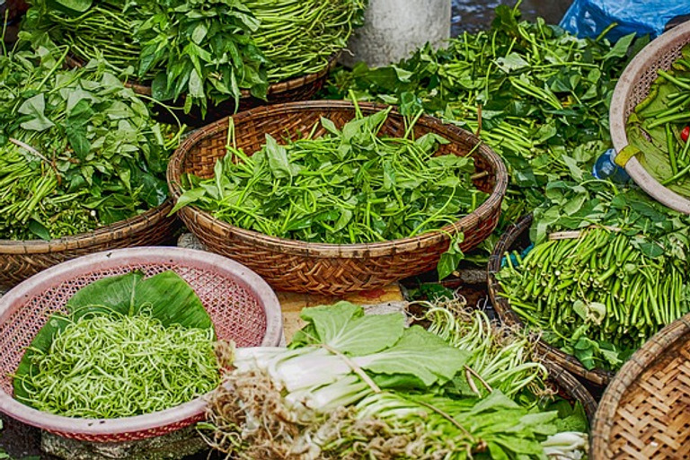 Vrtni čubar - osnovne karakteristike začinske biljke vrtni čubar - Net.hr