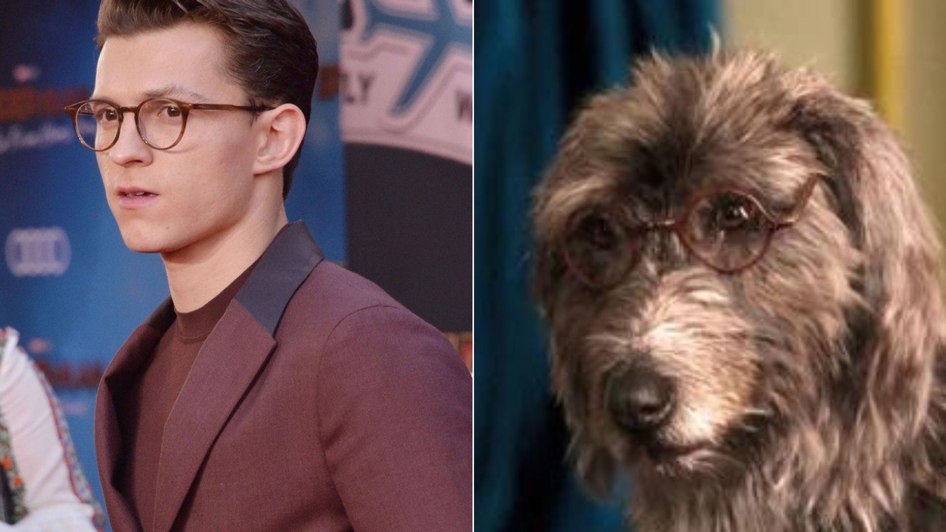 Jeste li znali? Tom Holland, Selena Gomez i Rami Malek dali su svoj ...