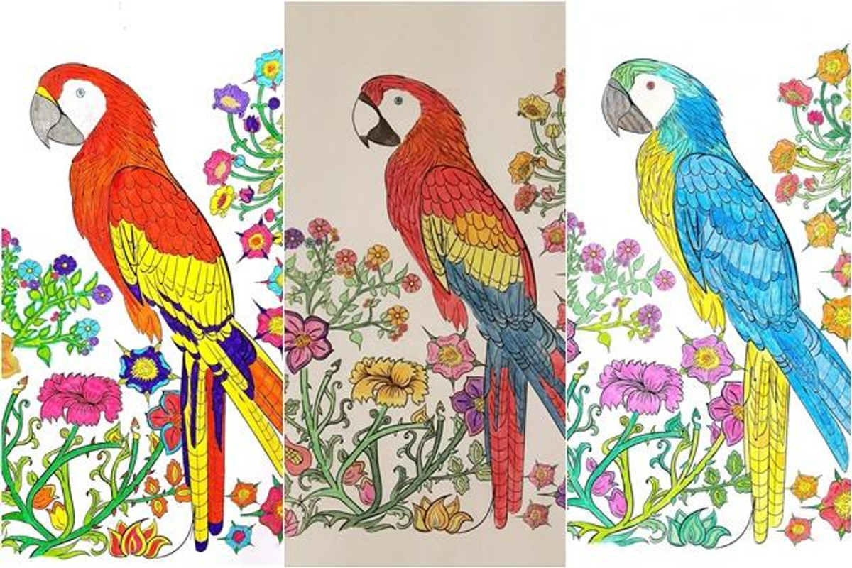 Bojanka za odrasle (14) - Žena.hr