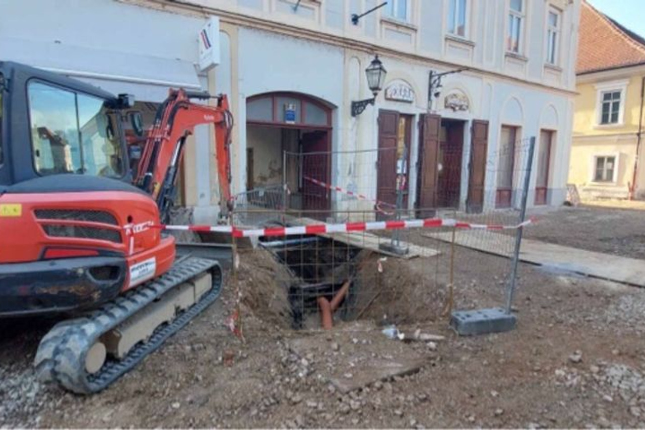 Horor u Karlovcu: Više pasa stalo na ploču pod naponom i opržilo šapice ...