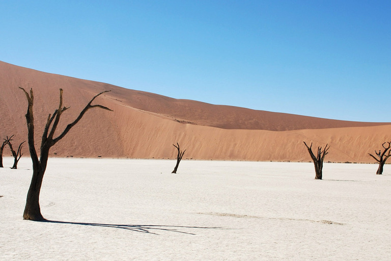 Koje zanimljivosti skrivaju država Namibija i Namib pustinja - Net.hr
