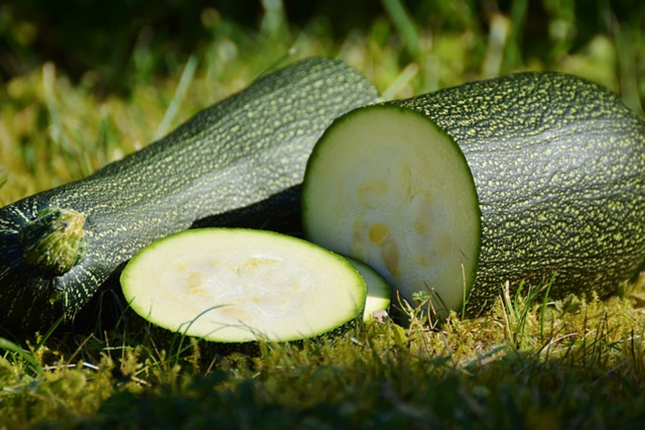 Mlade tikvice na salatu - recept kako se priprema salata od mladih ...