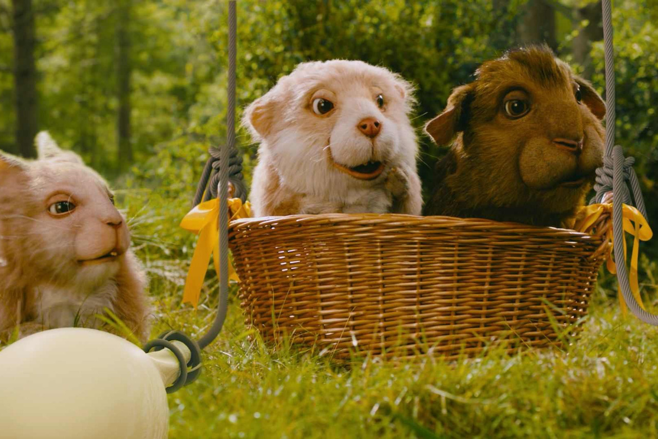 Hrabri hrčak, štakor i zamorac u borbi protiv ekološke katastrofe