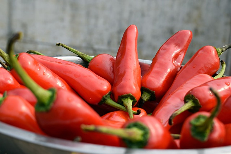 Feferoni zimnica - recepti za pripremu feferona za zimnicu - Net.hr