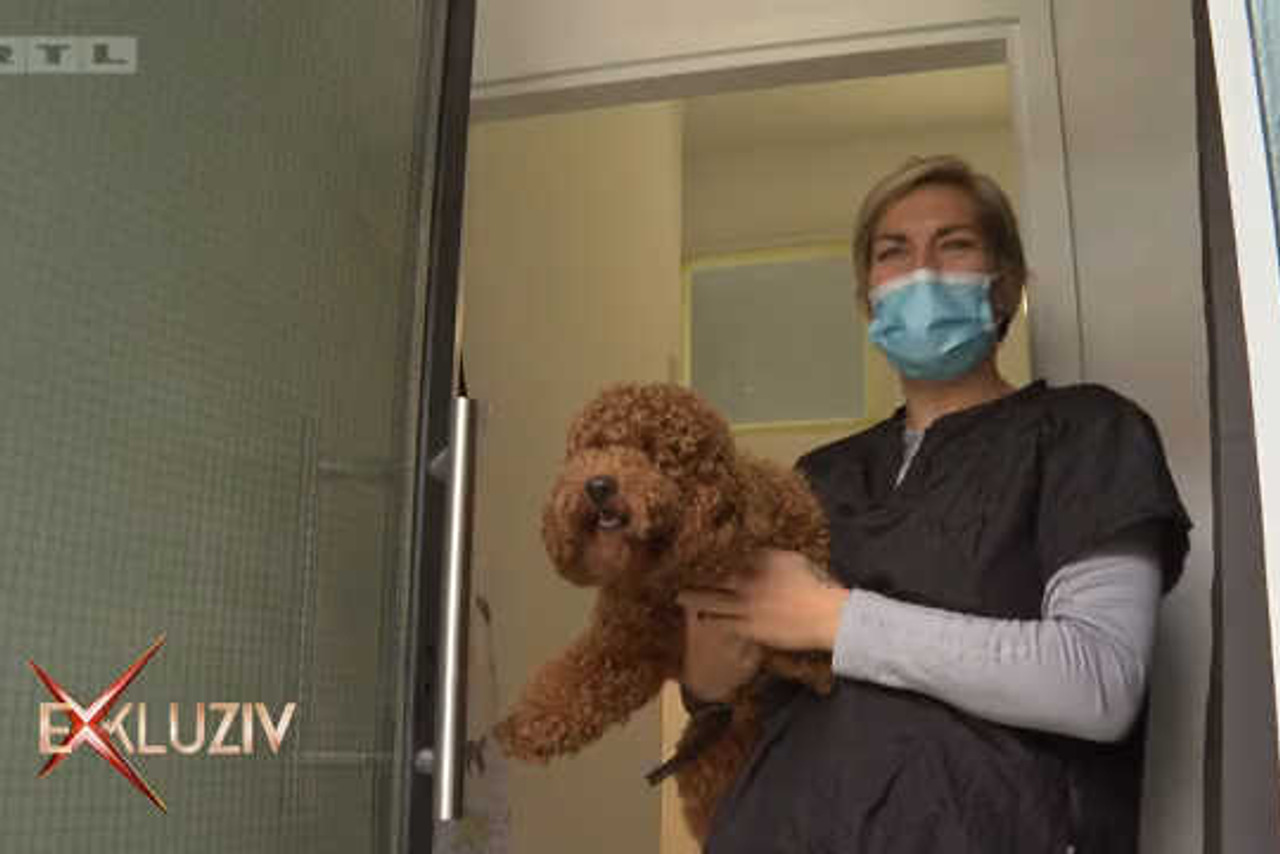 Proveli smo dan s Nikom Fleiss u njezinu salonu za pse