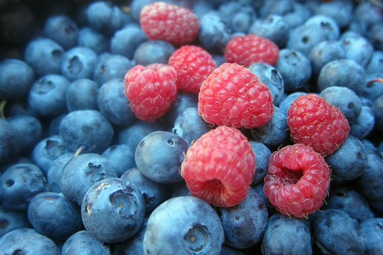 Preljev od šumskog voća sa želatinom - Net.hr