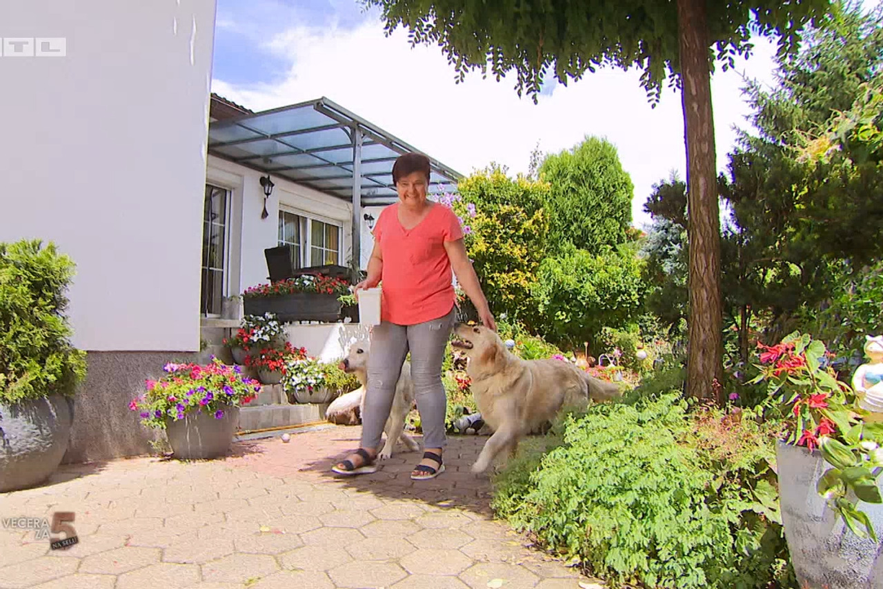 VIDEO - Izgleda kao rajski vrt! Pogledajte kakvo krasno cvijeće ima ...