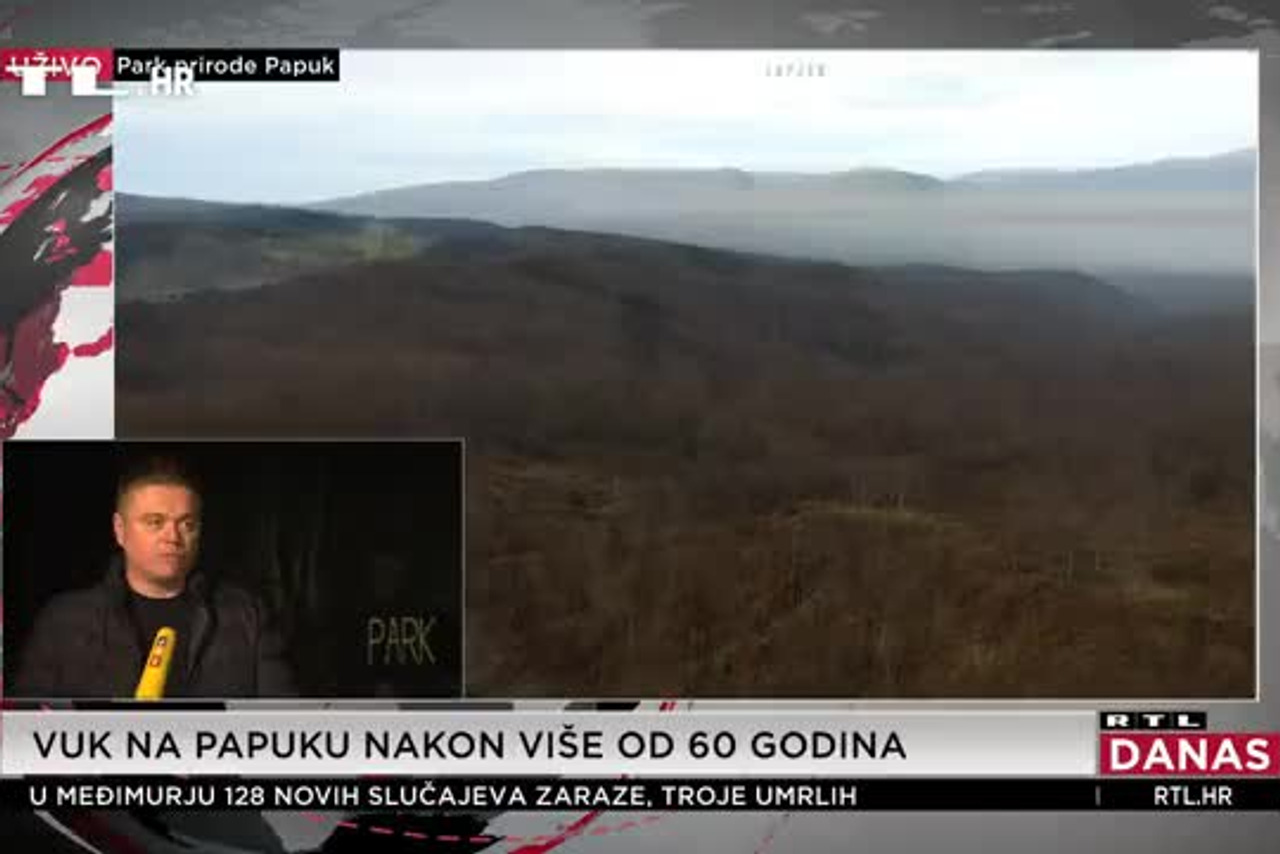 Vuk je snimljen na Papuku, a pretpostavlja se da je došao s područja ...