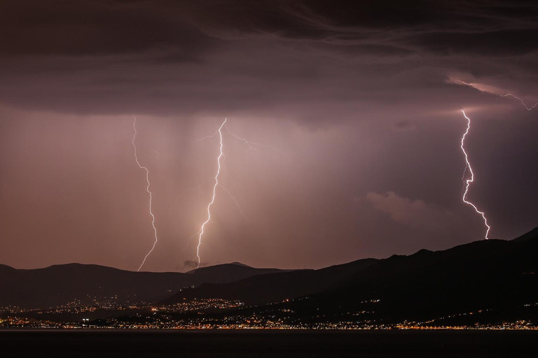 Vukovarsko područje pogodila jaka kiša i vjetar: Stablo lipe je palo na ...