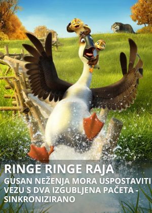 Za večere i zabave : 12 recepata zbog kojih ćete ovih blagdana ...