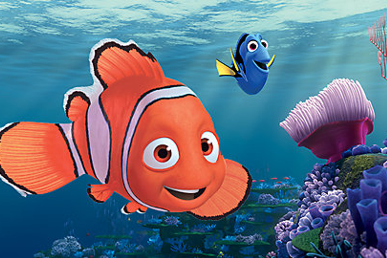 Riba klaun poznatija kao 'Nemo' - Net.hr