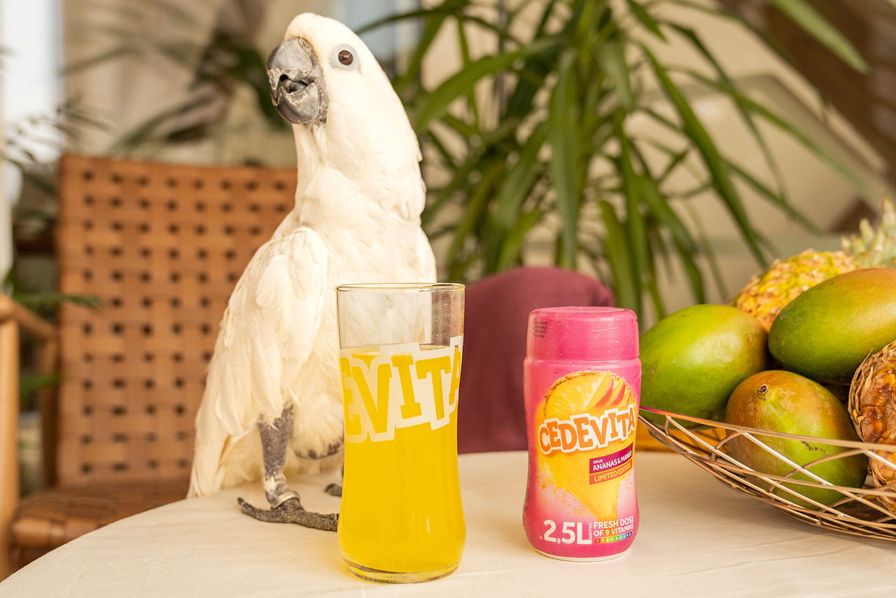 CEDEVITA ANANAS MANGO - Net.hr