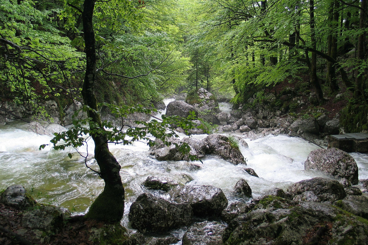 Znate li kakav je izvor rijeke Save? - Net.hr