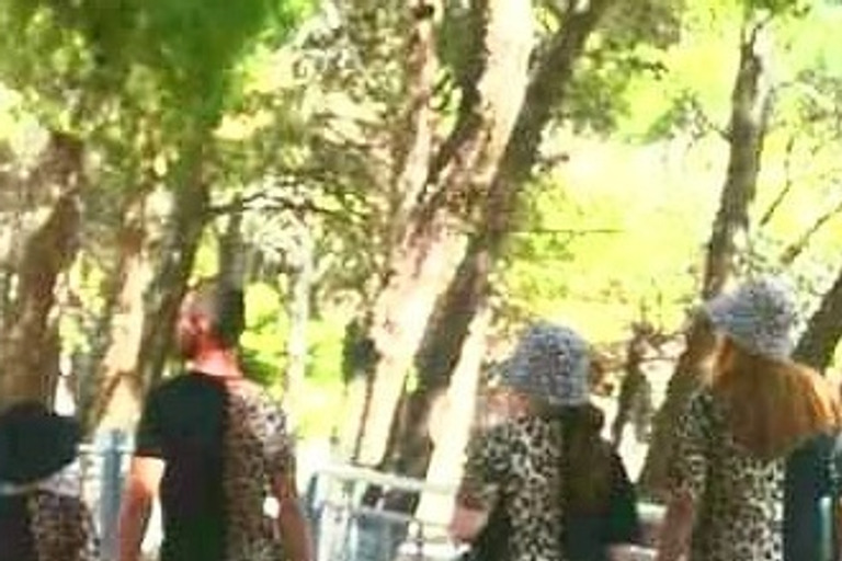 Četveročlana 'obitelj Kremenko' privlačila poglede na Braču svojim ...