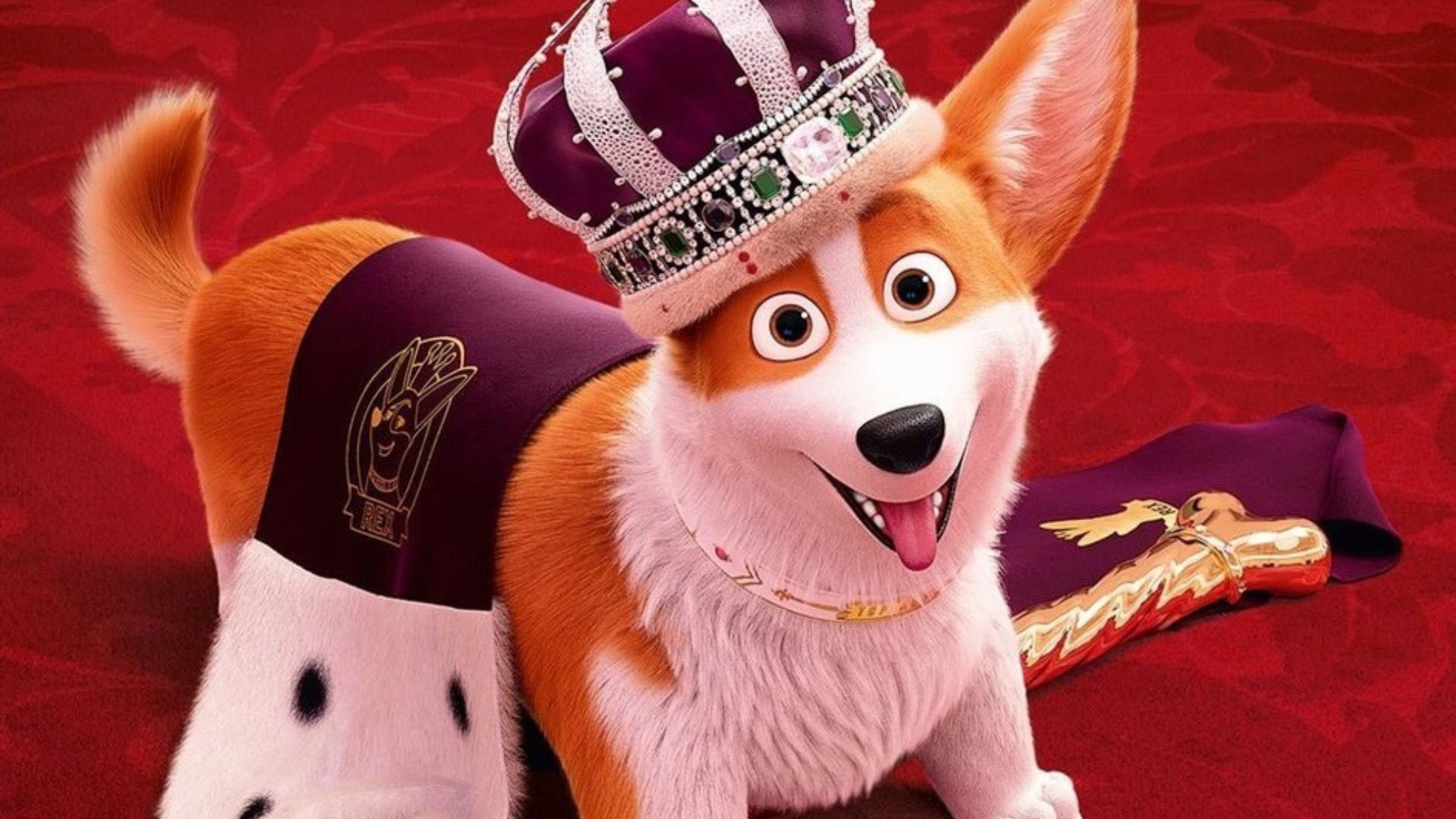 Jeste li znali da su korgiji bili najdraži psi kraljice Elizabete II ...