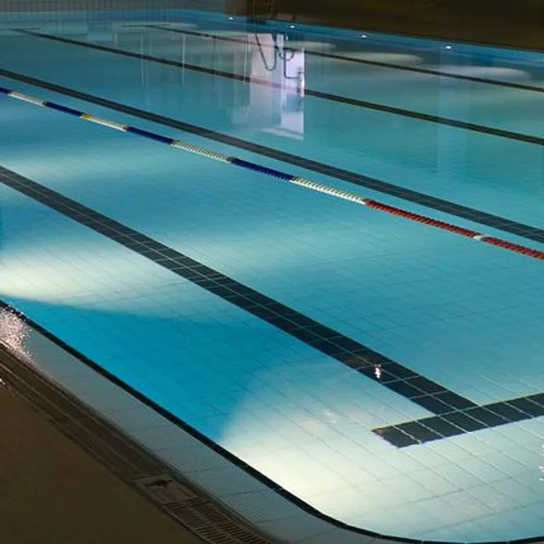 Butterfly plivanje: Kako se pravilno izvodi tehnika plivanja butterfly ...