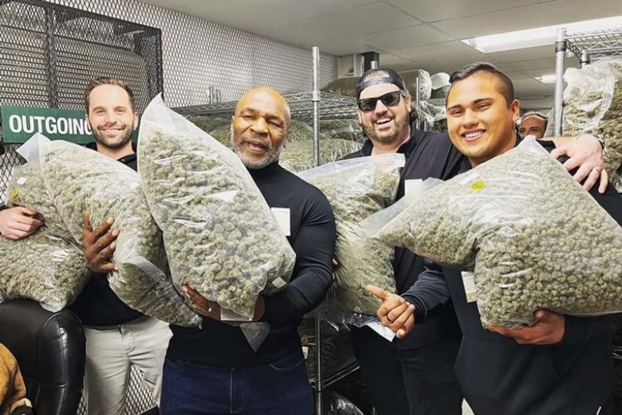 Marihuana: Mike Tyson mjesečno popuši trave za 294.640 kuna - Net.hr