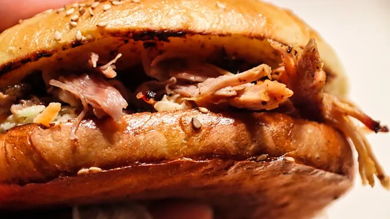 Trgana svinjetina - recept kako pripremiti trganu svinetinu za sendvič ...