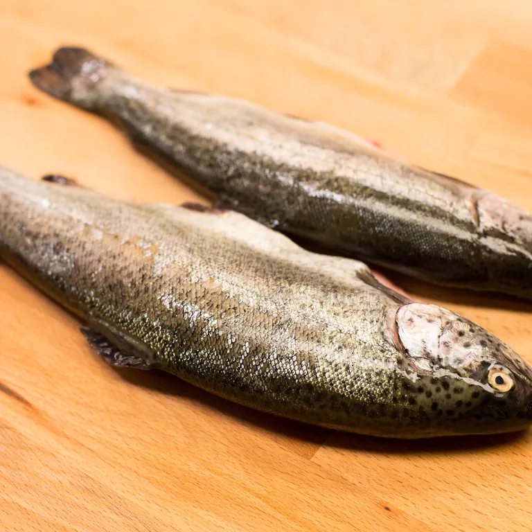 Kalifornijska pastrva kao najpoznatija riječna riba - Net.hr