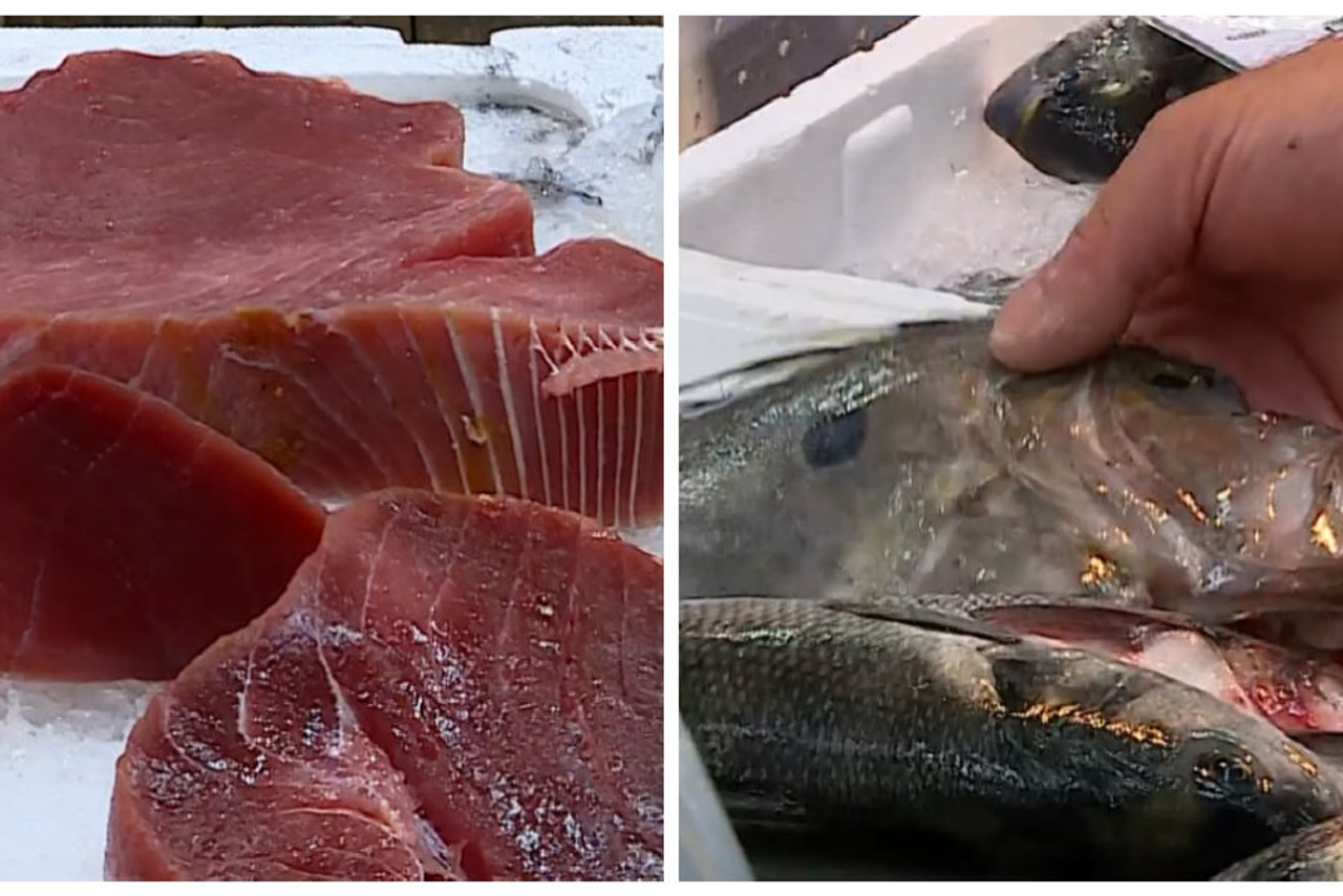 Zaboravite crvene škrge i mutne oči: Svaka riba imat će svoj QR kod ...