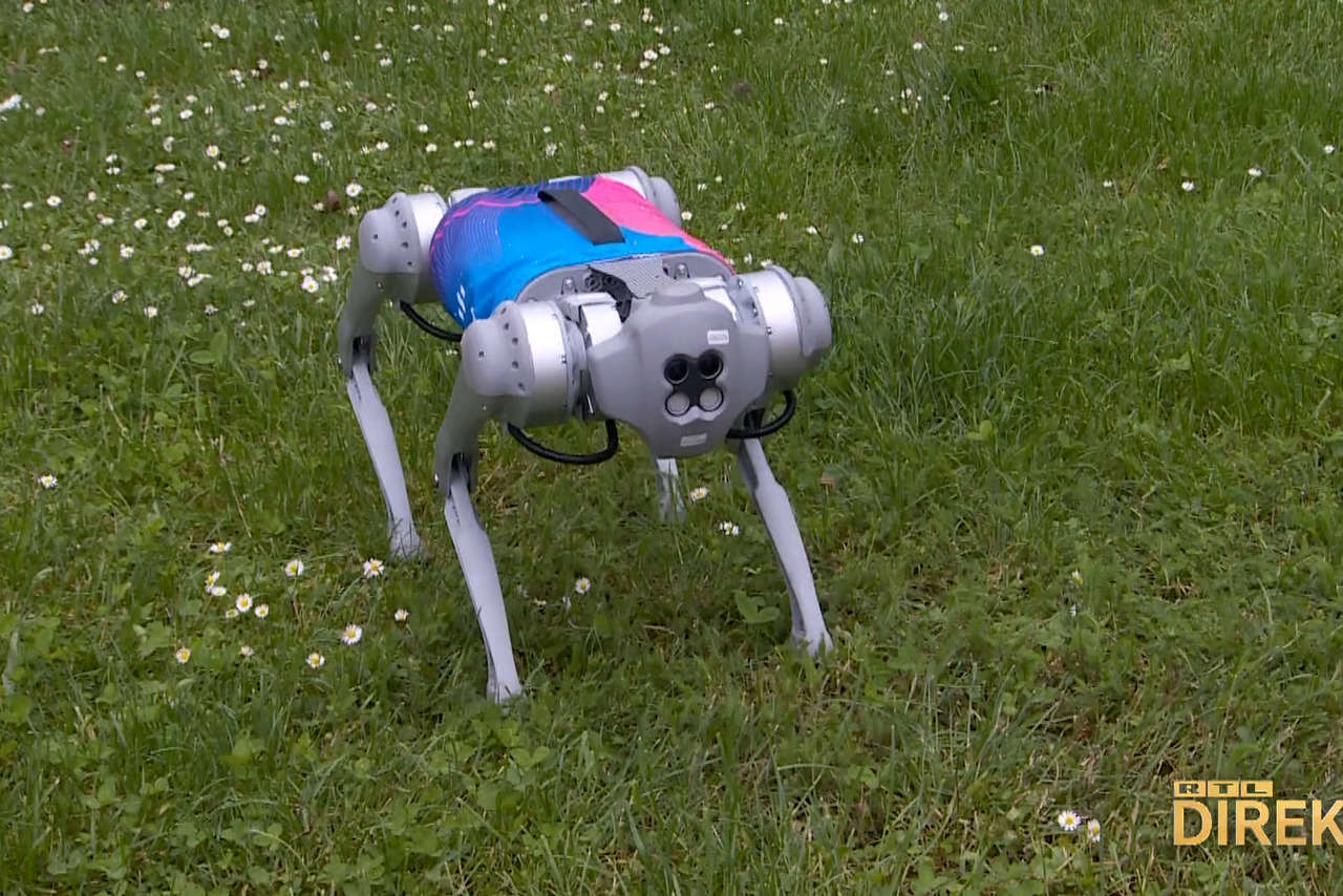 Upoznajte Stevu - hrvatskog robopsa. Nastupao je na Super Bowlu ...