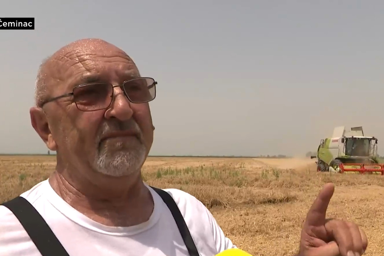 Ratari zabrinuti zbog cijene i kvalitete pšenice - Net.hr