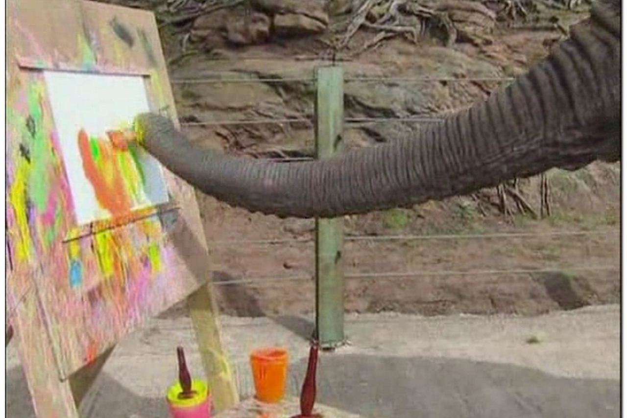 Slonica počela slikati