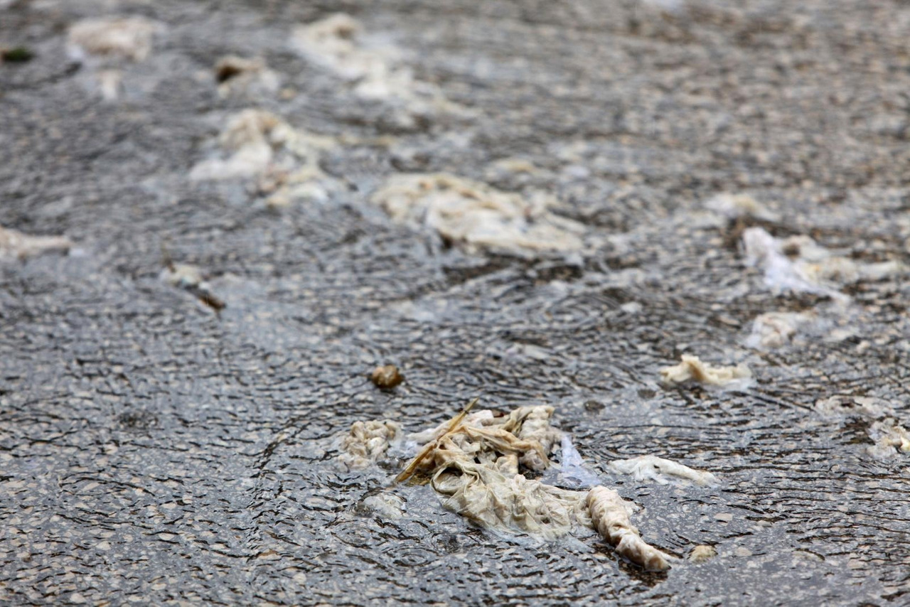 BRANITELJU IZMET IZ KANALIZACIJE UNIŠTIO STAN: 'Vidjeti kuhinju i ...