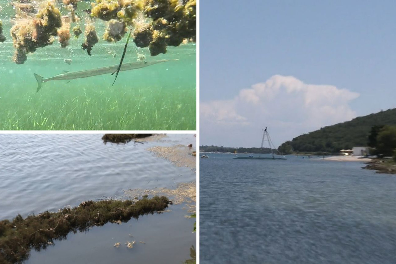 Smrdi, smrdi, užasno smrdi! I nema kupanja u prelijepoj istarskoj uvali ...