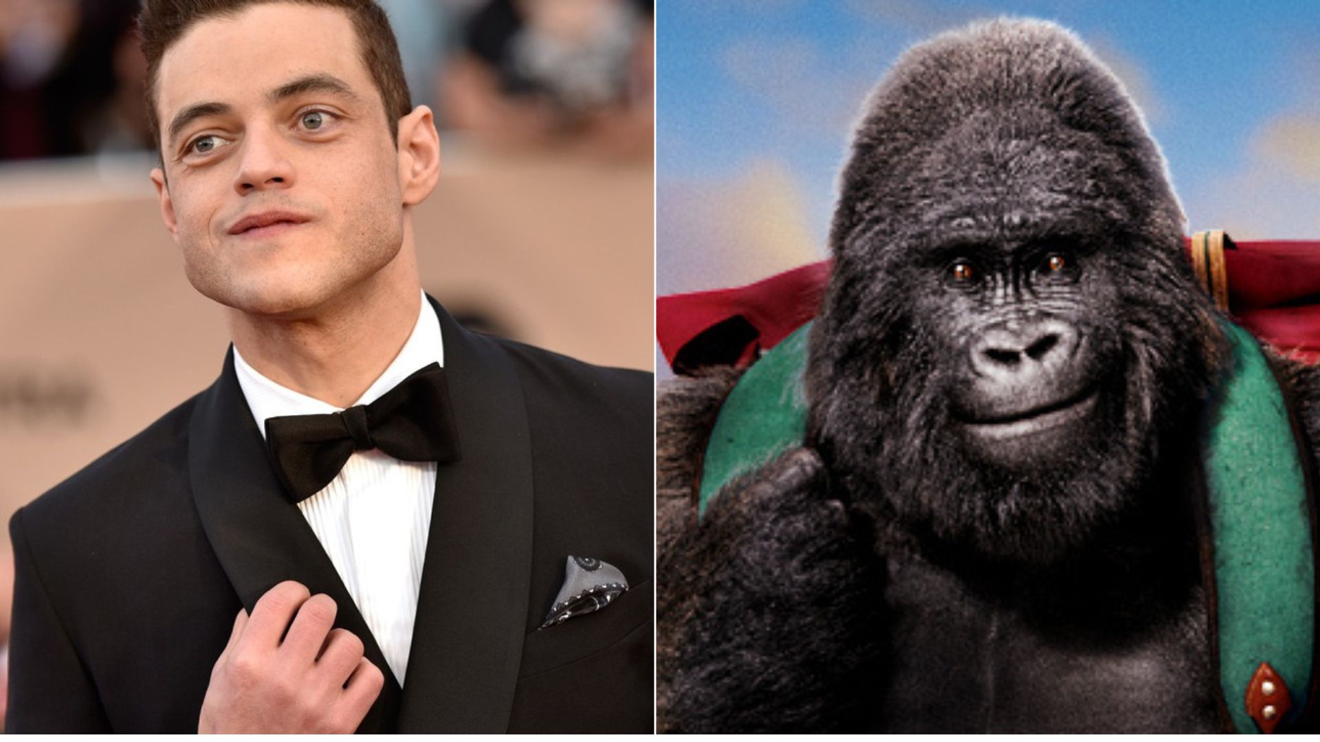 Jeste li znali? Tom Holland, Selena Gomez i Rami Malek dali su svoj ...