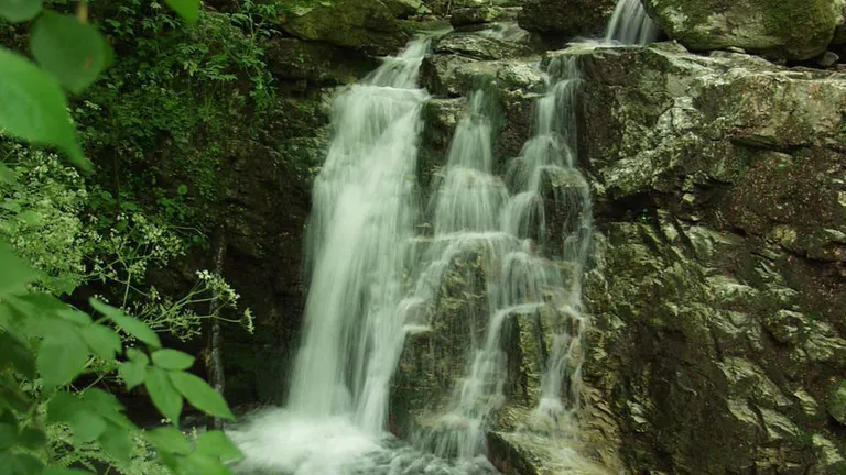 Papuk nacionalni park ili samo park prirode - Net.hr
